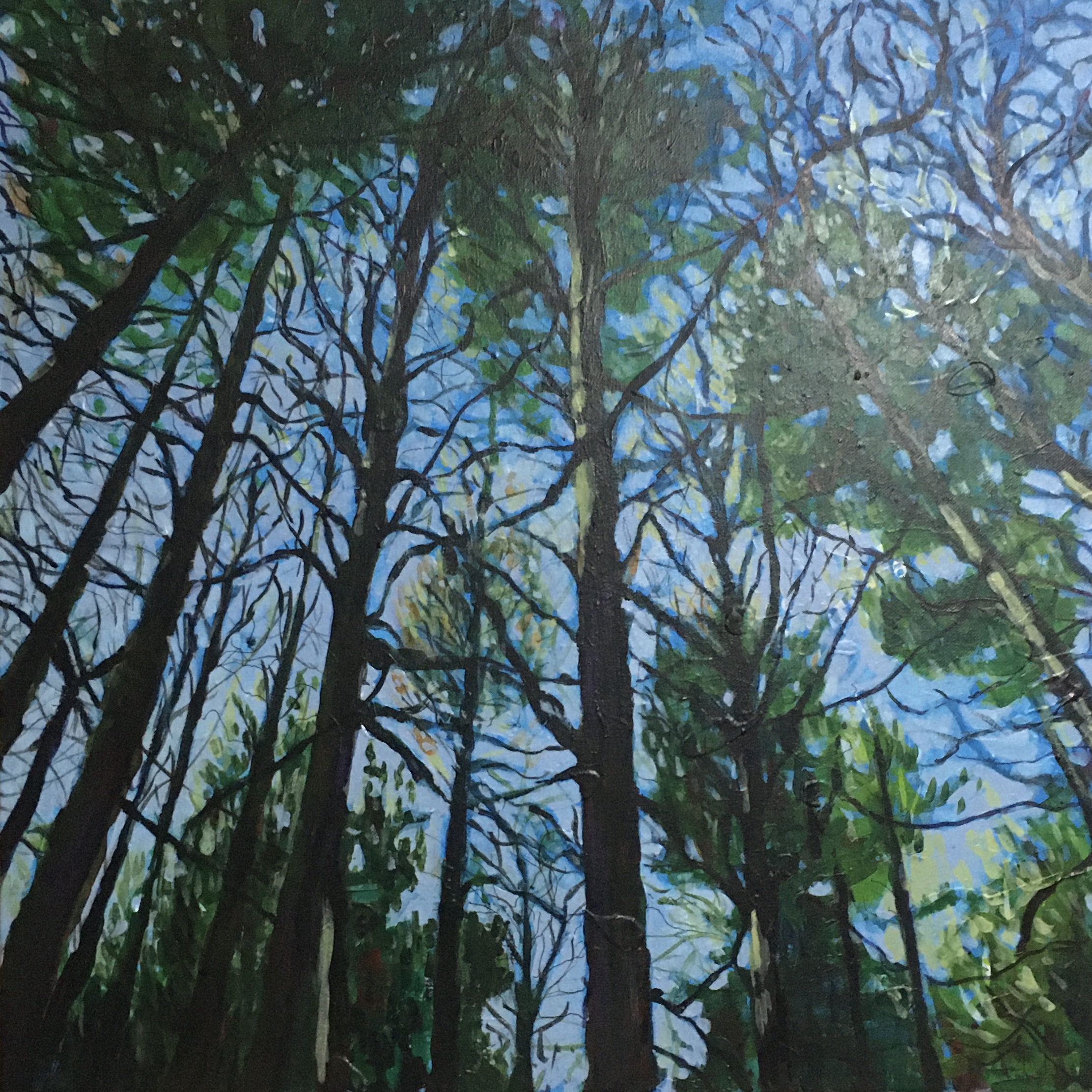 Landscapes – Tim Mann